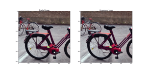 Python Tutorial: Image Compression using Numpy - Machine Learning Site